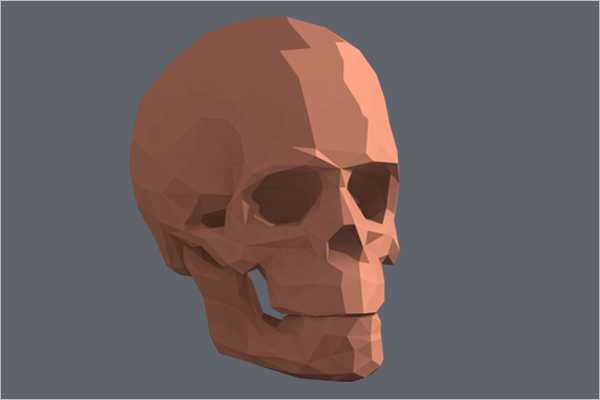 32+ Skull 3D Models Free Download | Anatomy, STL Files