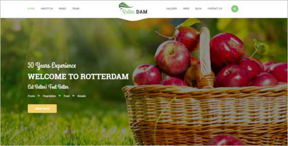 40+ Responsive Agriculture HTML5 Templates Free Website Themes