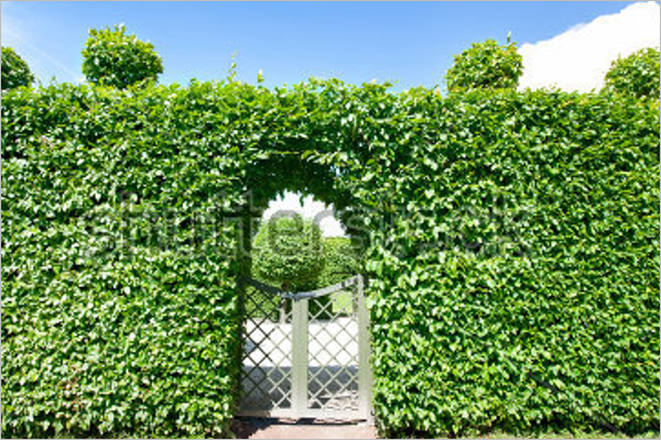 22+ Hedge Shapes Free Download | 3D Design Ideas