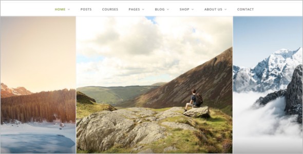 50+ Blog Design Templates PSD Free Website Themes | Creativetemplate