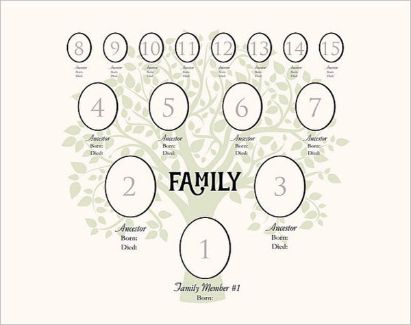 18+ 4 Generation Family Tree Templates Free Word, PDF Formats
