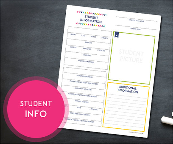 34+ Free Grade Sheet Templates PDF, Excel, Word Formats