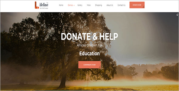 25+ Non Profit Blog Themes Free Website Templates