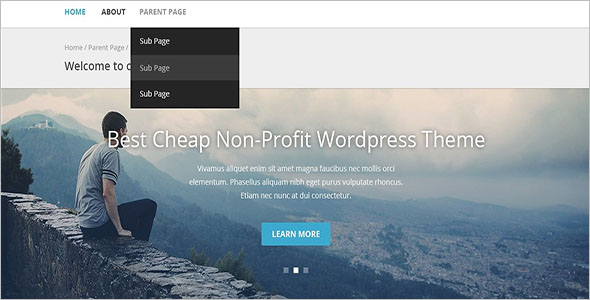 25+ Non Profit Blog Themes Free Website Templates