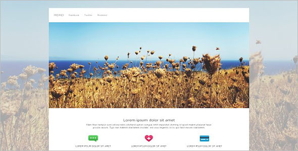 37+ Attractive HTML Templates Free Website Themes