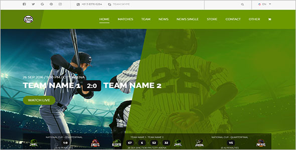 17+ Baseball Website Templates Fee Responsive Themes