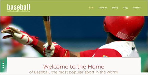 17+ Baseball Website Templates Fee Responsive Themes