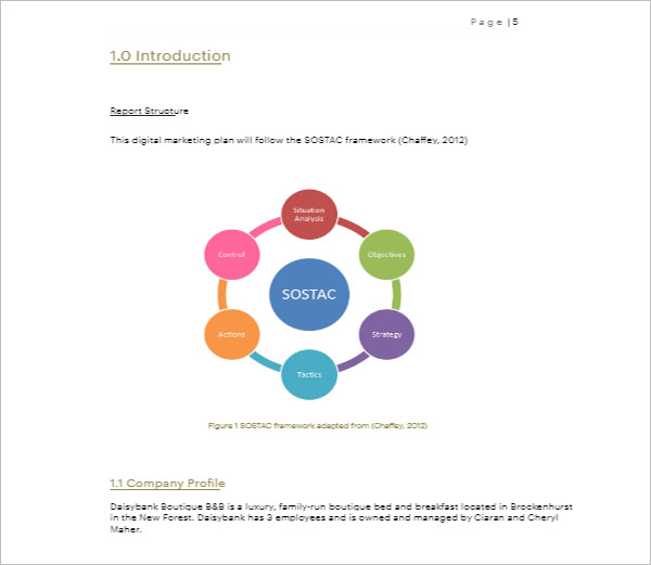 21+ Digital Marketing Strategy Templates Free PPT, DOC, PDF Formats