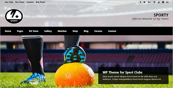 17+ Baseball Website Templates Fee Responsive Themes