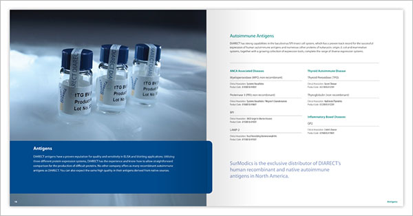 14+ Drug Brochure Templates Free - Creative Template