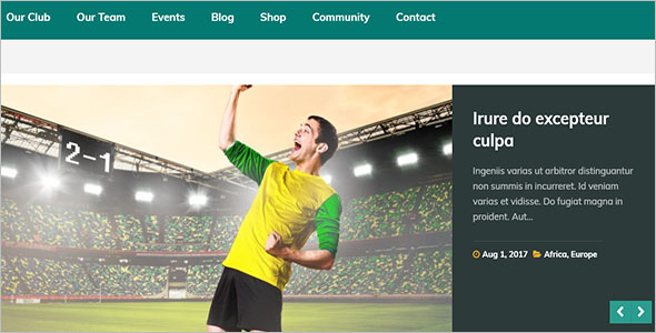 17+ Baseball Website Templates Fee Responsive Themes