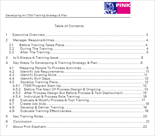 21+ Training Strategy Templates Free PPT, PDF, DOC Sample Formats