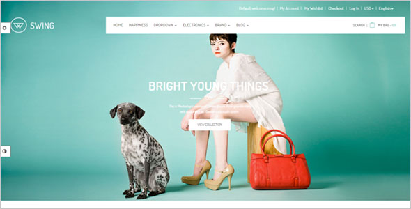 31+ Custom Magento Development Themes Free Download