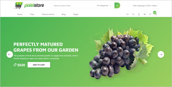 31+ Custom Magento Development Themes Free Download