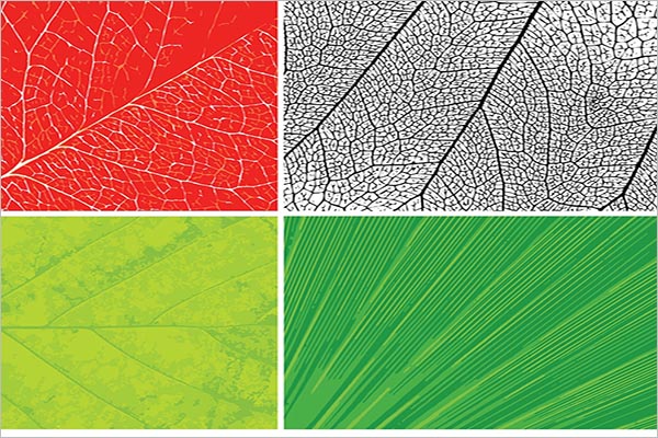 20+ Leaf Textures HD Background Designs | Free Templates