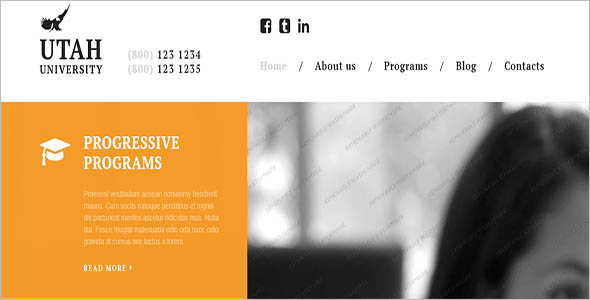 31+ College Website Themes Free Download - Creative Template