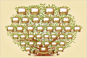 31+ Photo Family Tree Templates Free PDF, Word Formats